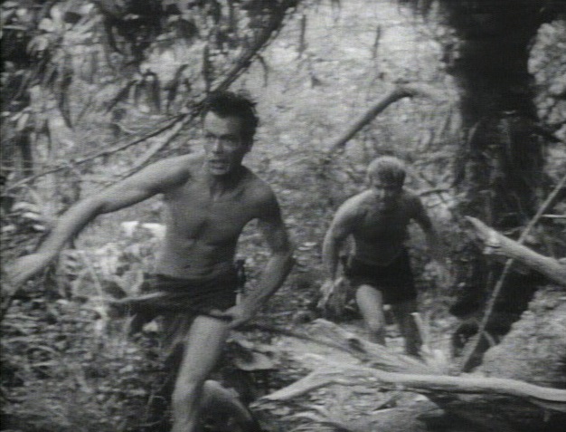 3B Theater: Micro-Brewed Reviews: The Dual Roles Blogathon :: Beach ...