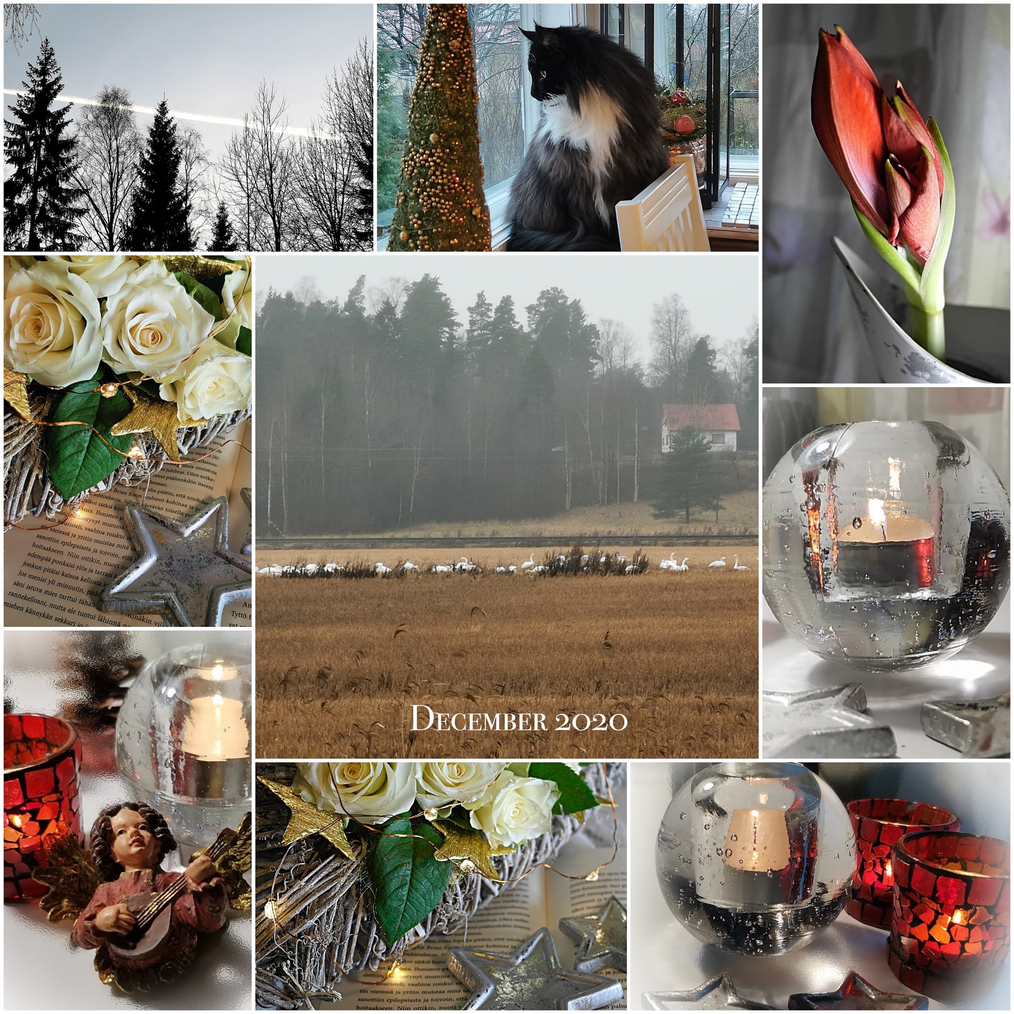 Floral Passions: 2020 COLLAGES