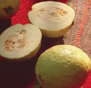 Cocinarte Chile: 2013-02-10