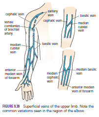 Human Medecine: Dermatomes and Cutaneous Nerves-Superficial Veins-Nerve ...