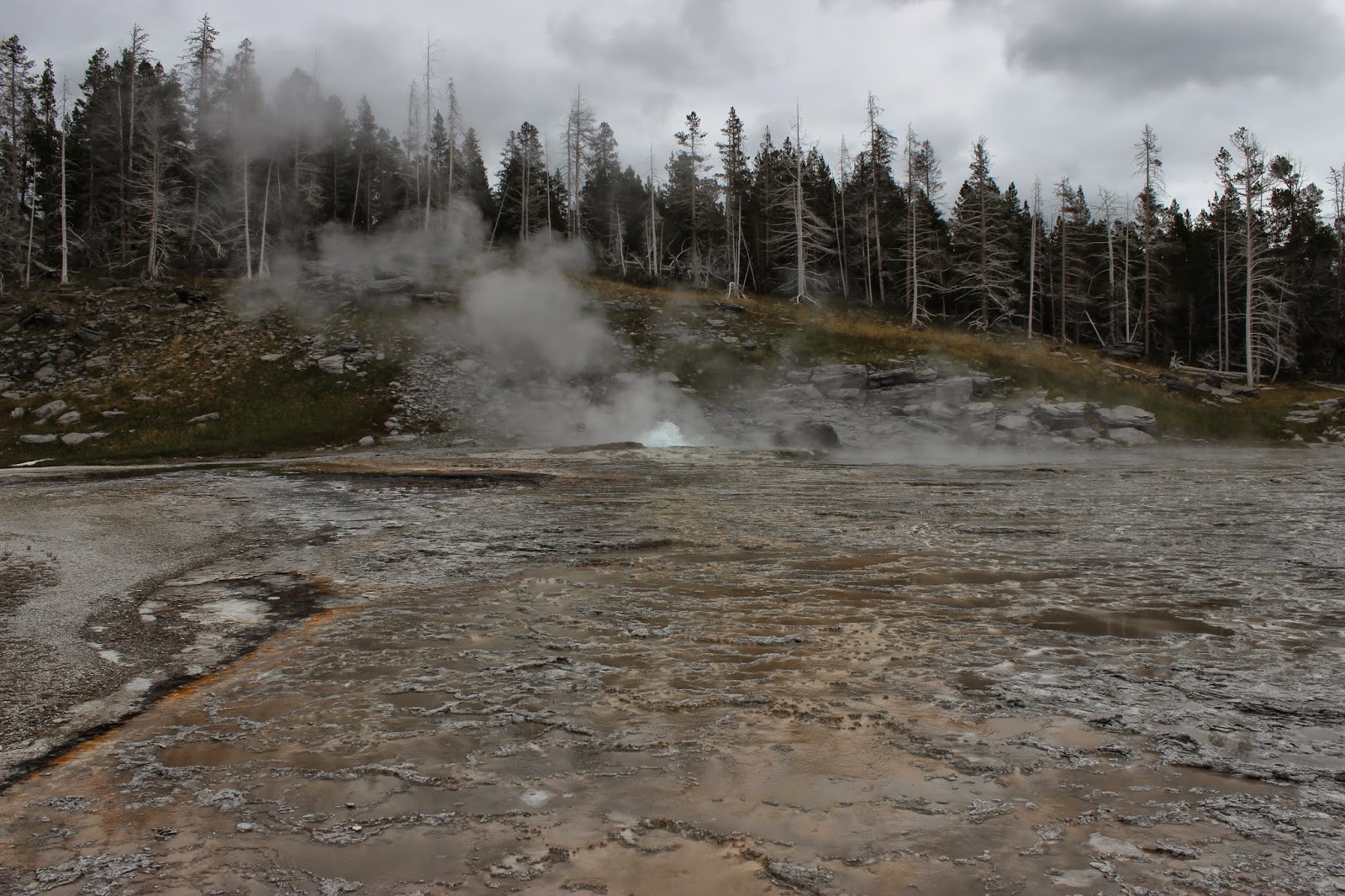 Patio Boat: The Big Road Trip: Yellowstone - A Walk along the Upper ...