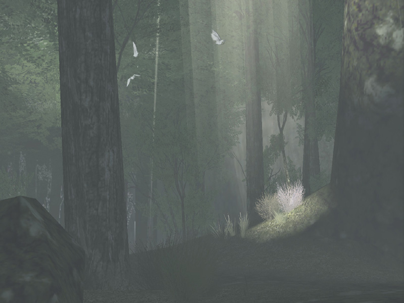 Nomad's blog: G2 Forest