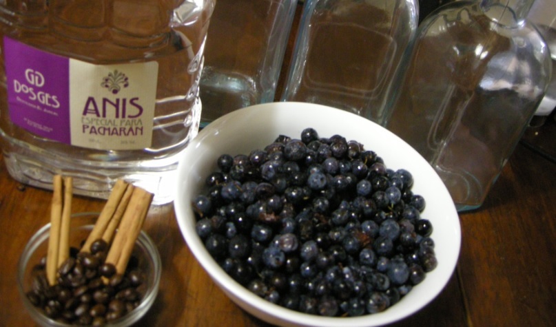 cadalso vive: las endrinas , otro fruto del otoño...