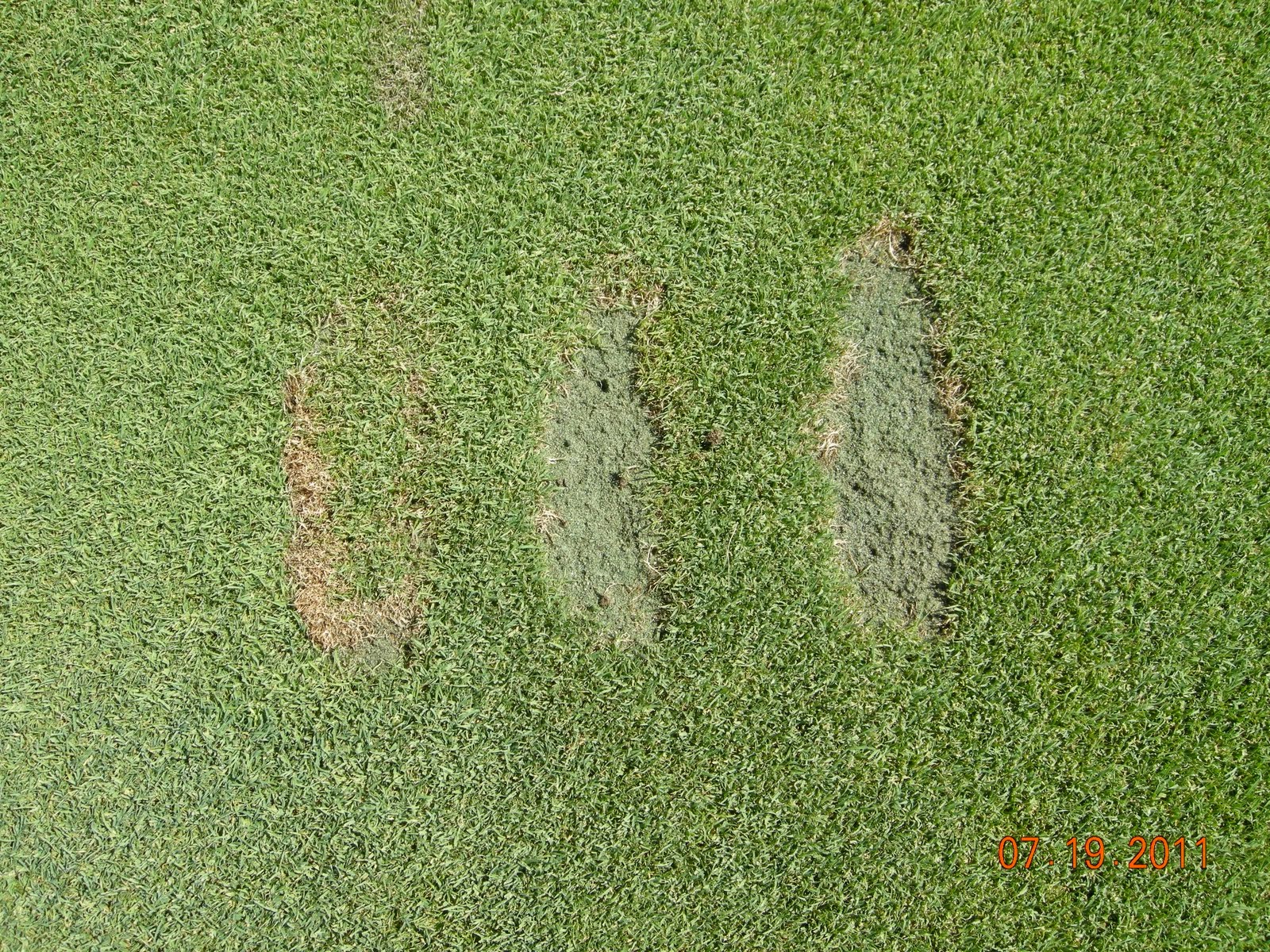 Chantilly National Golf and Grounds: DIVOT REPAIR Chantilly National Golf and Grounds: DIVOT REPAIR