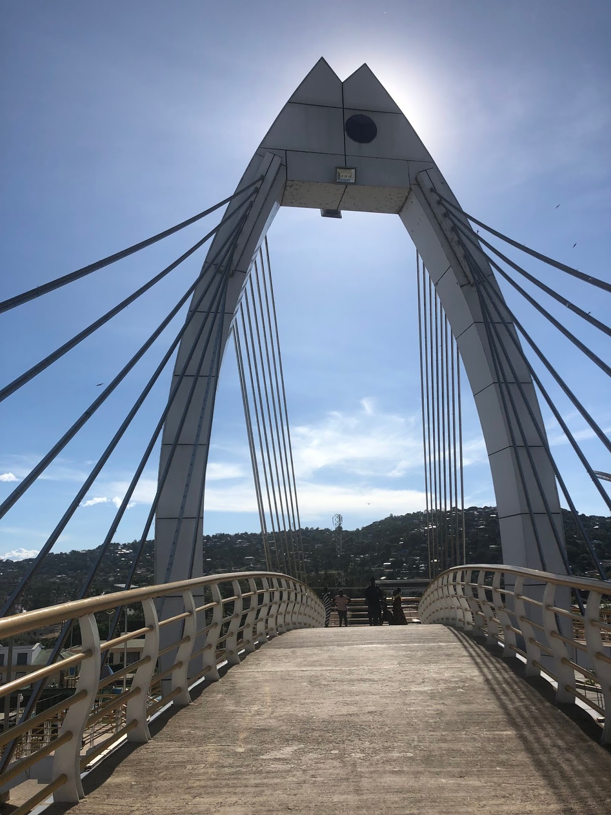 TASWIRA ZA DARAJA LA SAMAKI JIRANI YA ROCK CITY MALL JIJINI MWANZA ...