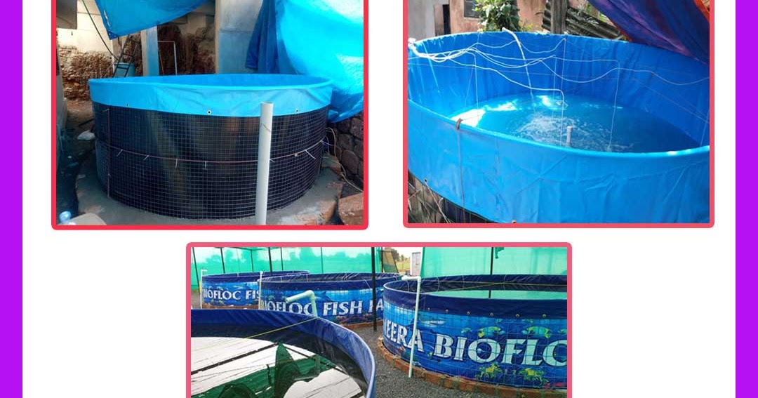 BioFloc Fish Farming is revolutionizing the future food needs!