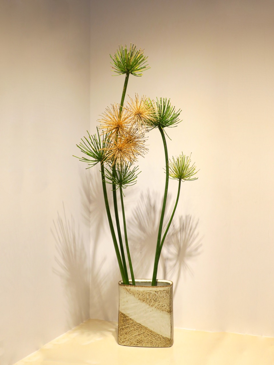 ROADSIDE IKEBANA: LINES AT THE BASE (Mk II)