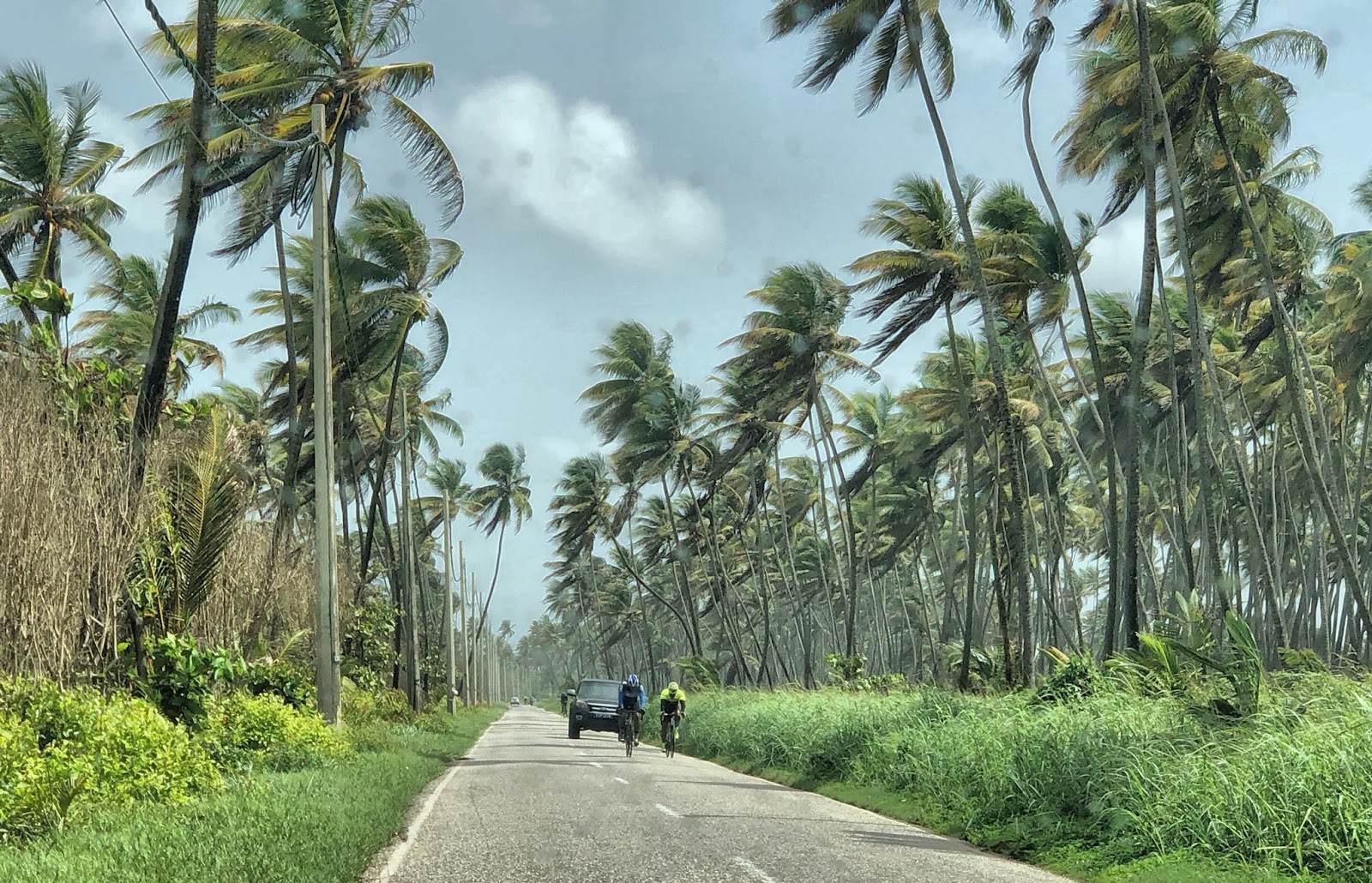 Las Aventuras: The Nariva Swamp