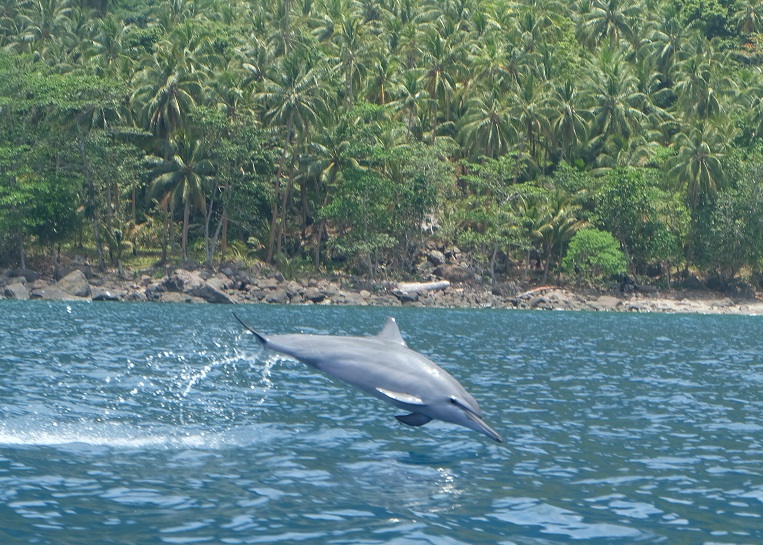 Trekking the volcano on Savo Island in the Solomons