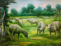 info seputar budidaya ternak dan tanaman: BERTERNAK KERBAU