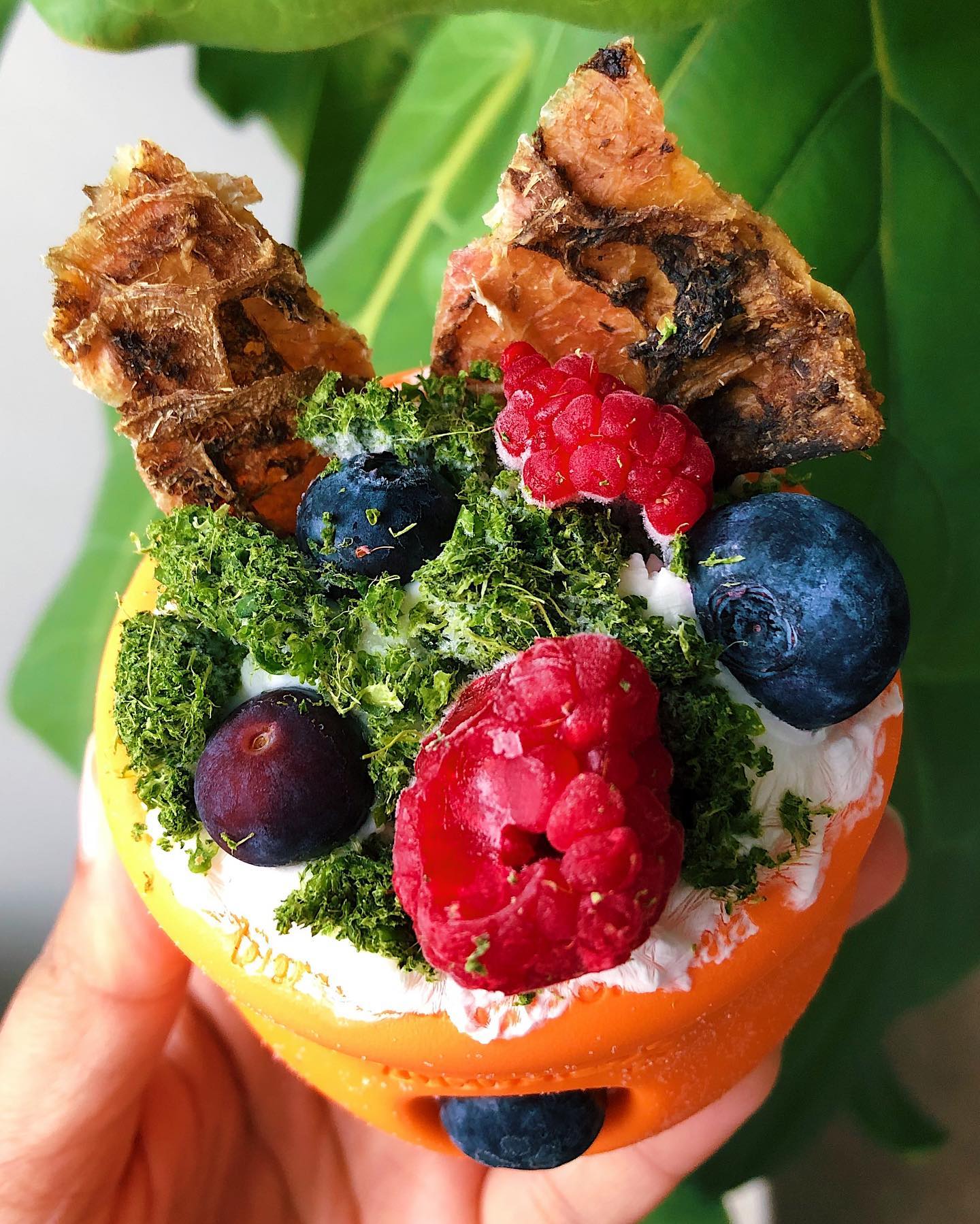 Stuffed Toppl- Green Tripe Chips & Berries | Hannah Ra