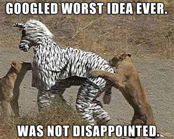 Today's Funny Pictures (25 Pics).