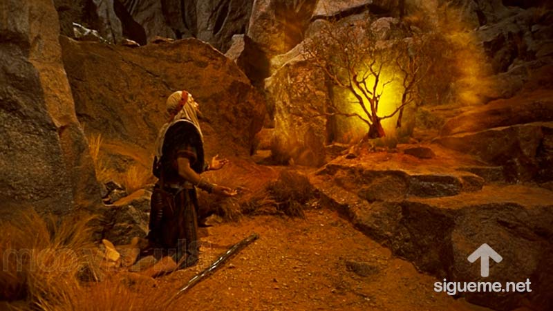 La Zarza Ardiente de Moisés que no se consumía...