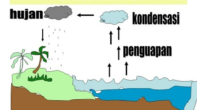 Pengertian Siklus Hidrologi Meliputi Komponen, Macam-macam, dan ... Pengertian Siklus Hidrologi Meliputi Komponen, Macam-macam, dan ...