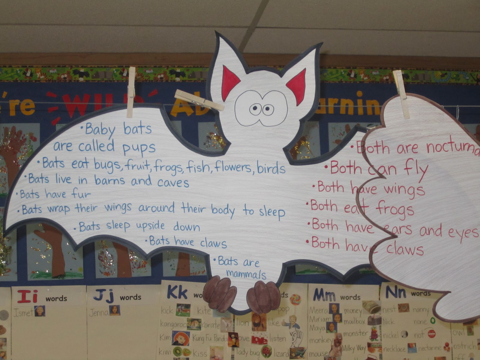 Krafty Kindergarteners: Nocturnal Animals