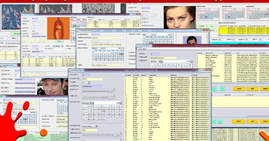 Software Developer And Writer Postgresql For Java Gui Database Cryptography And Image Processing