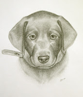 Portraits by Rita: My chocolate lab puppy (Leia)