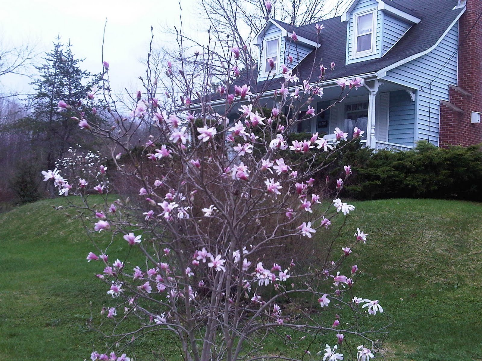 Figuring it out: Springing on a grey and gloomy day!