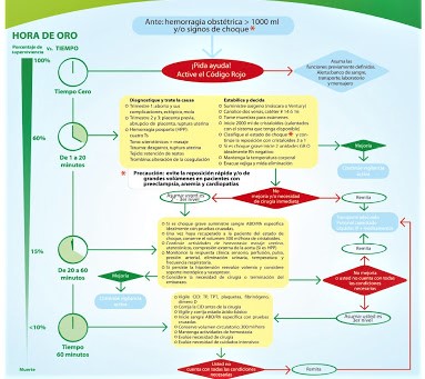 SECUENCIA TEMPORAL DEL CÓDIGO ROJO