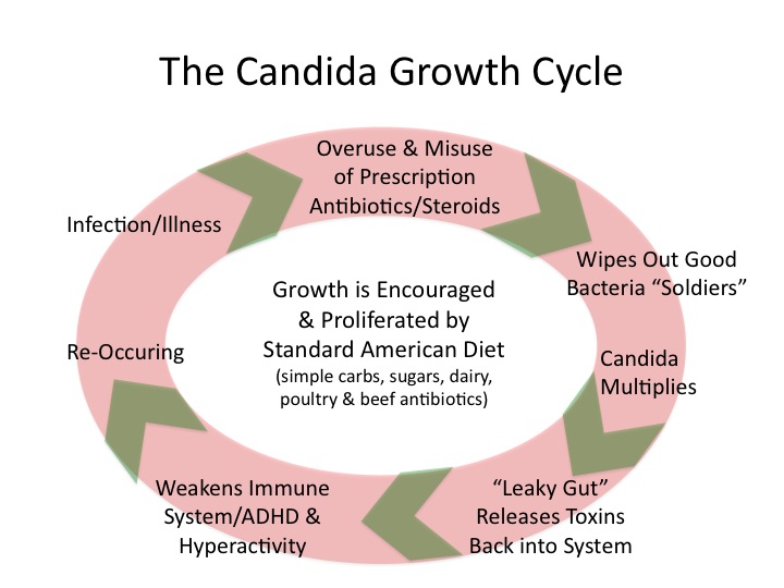 Everything Plexus: All About Candida Yeast