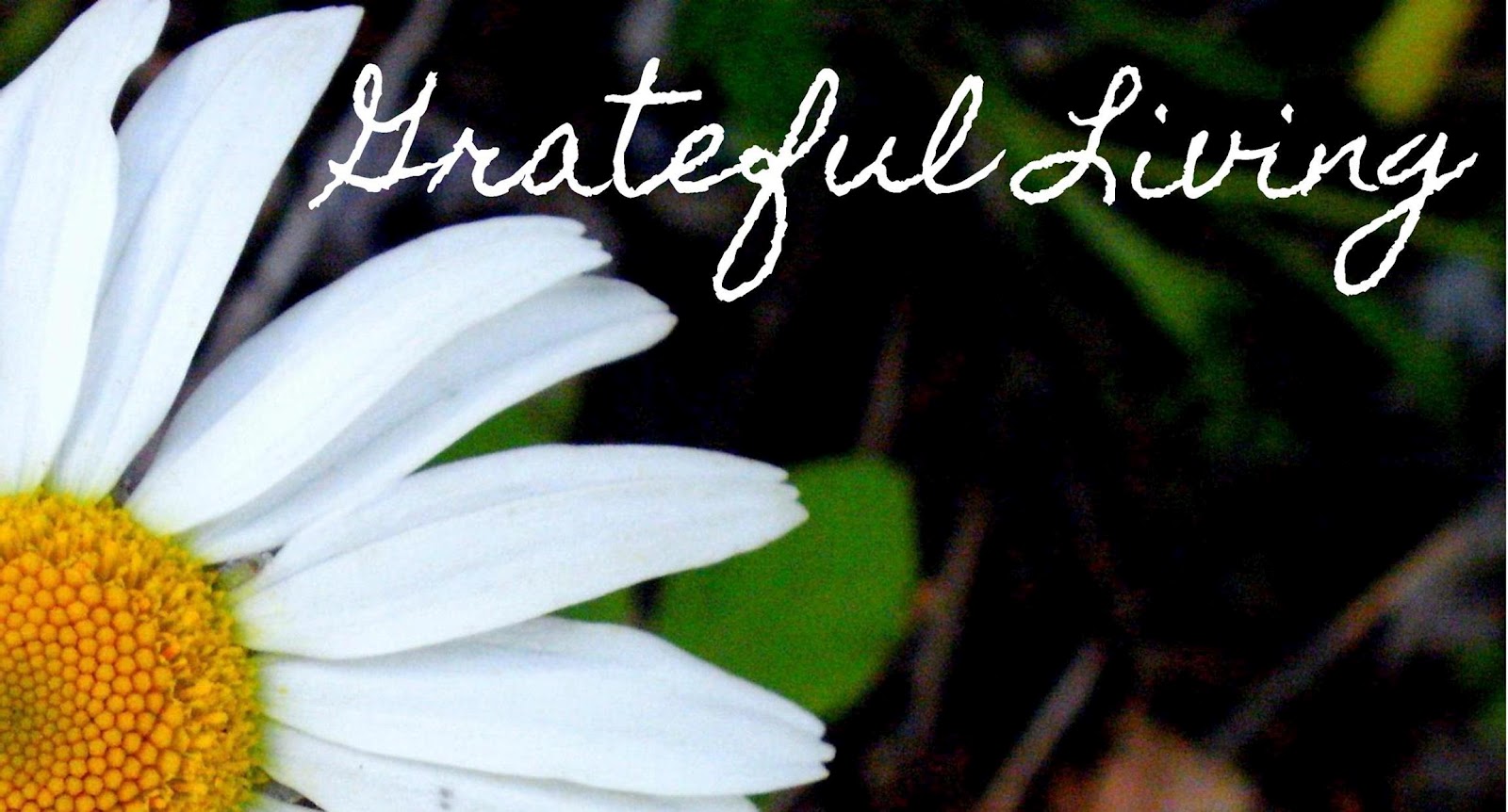 beautifully broken me: Grateful Living...