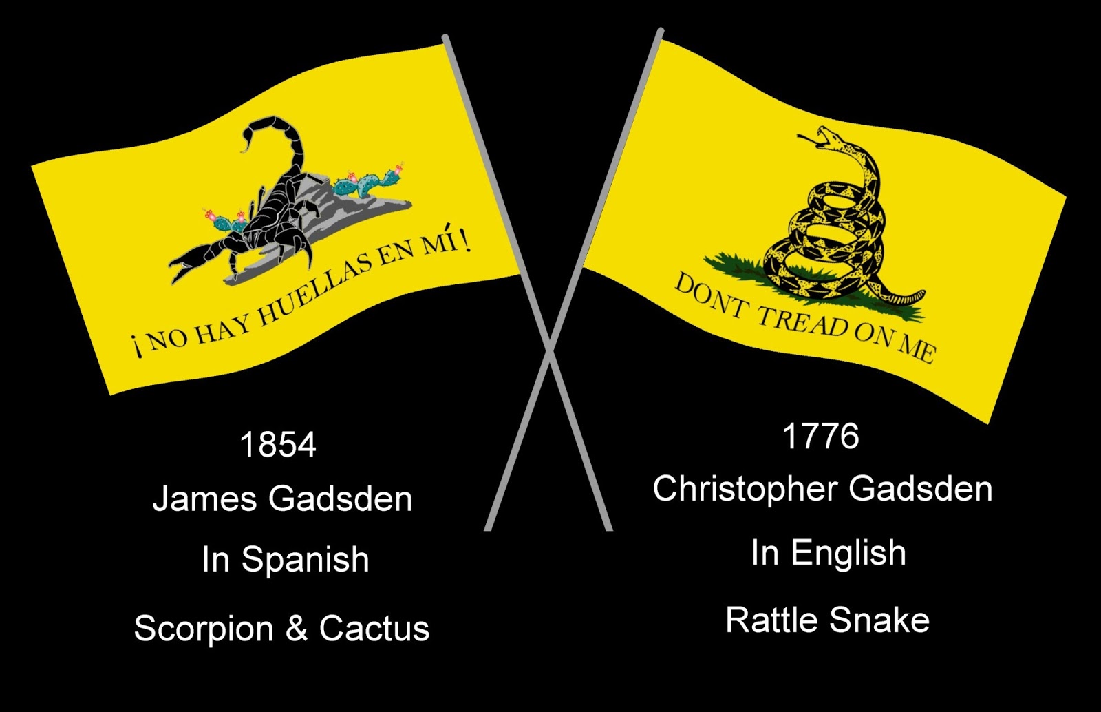 The Voice of Vexillology, Flags & Heraldry: Gadsden Purchase Heritage Flag