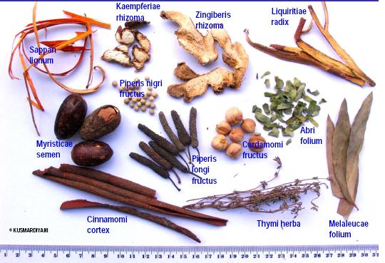 (PDF) Tahapan simplisia - DOKUMEN.TIPS