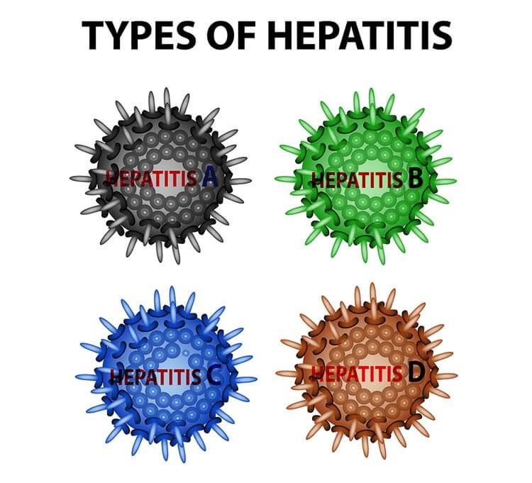 Types of Hepatitis/causes of Hepatitis/treatment of Hepatitis/The signs ...