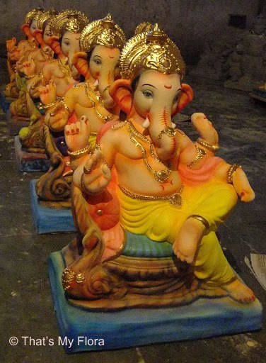 Jaswandi Che Phul - Bappa's Favourite