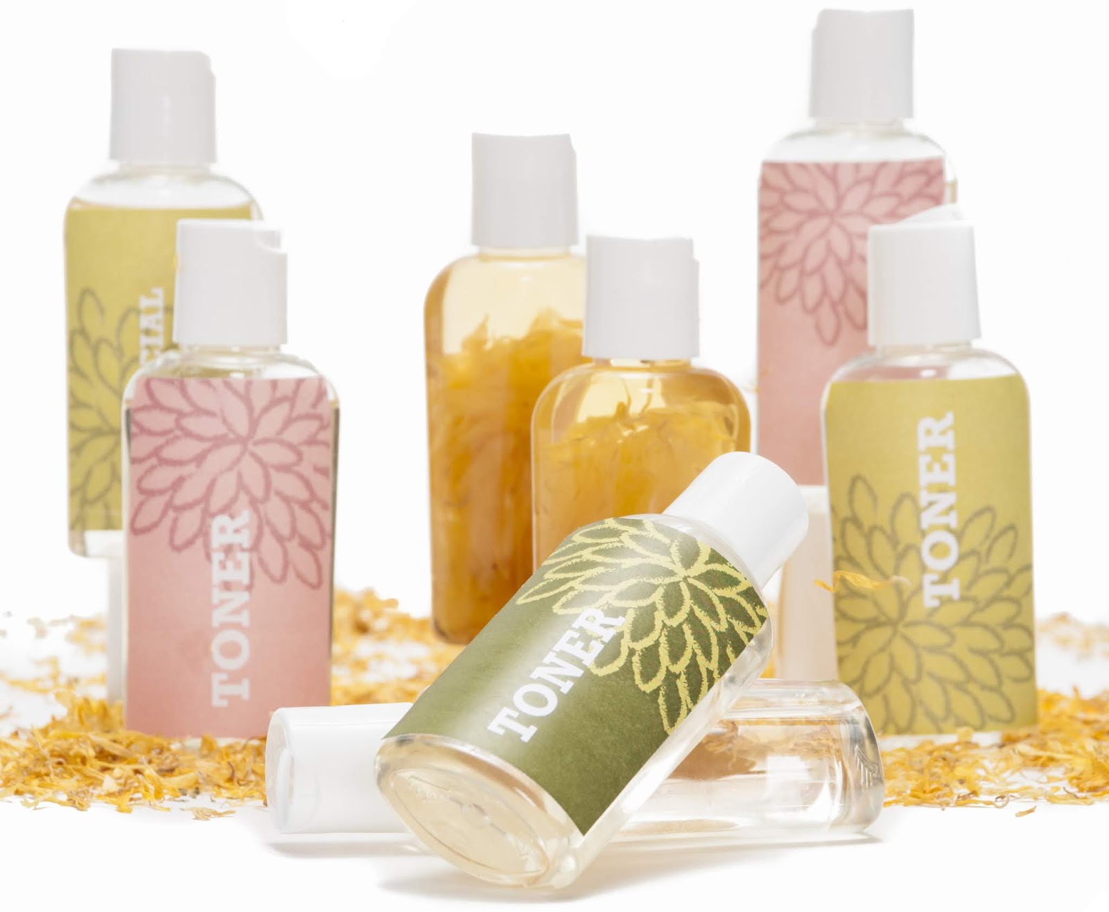 Homemade Cucumber Toner For A Clear skin!!!