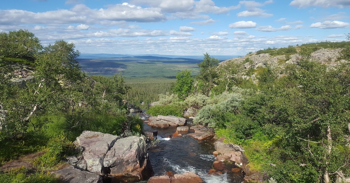 Cesar and The Woods: The Troll Trail in a Nutshell Full Guide