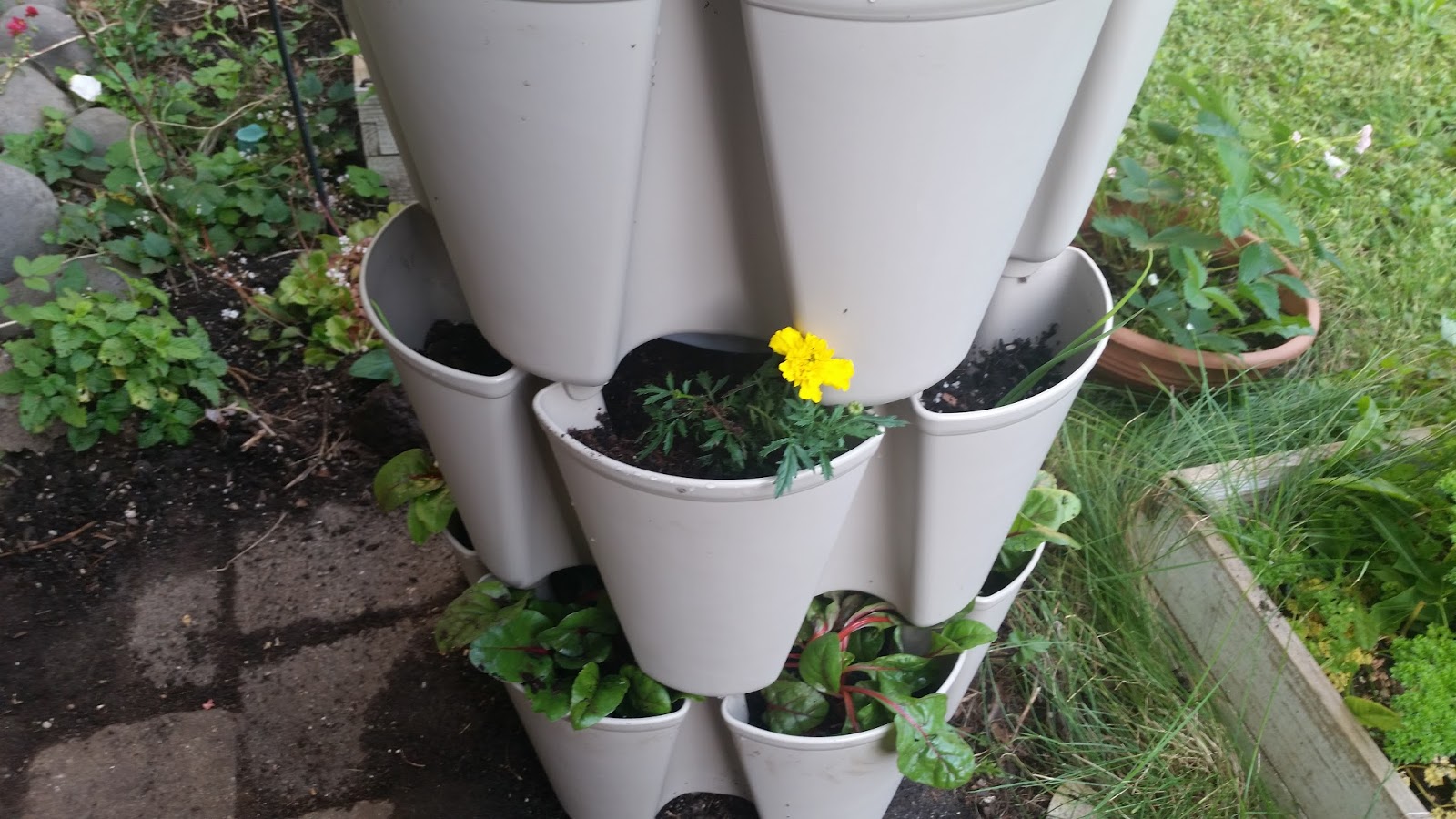 Sprouts: Review of the Green Stalk Gardening System