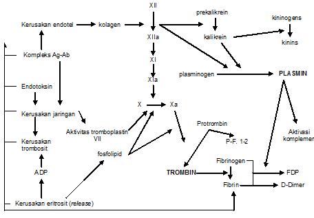 Koagulasi Intravaskular Diseminata (Disseminated Intravascular ...