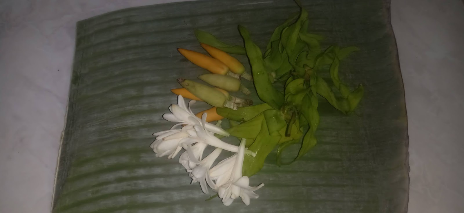 Mengenal Apa Itu Kembang Untuk Nyekar Menurut Tradisi Jawa - Jurnal Kurayui