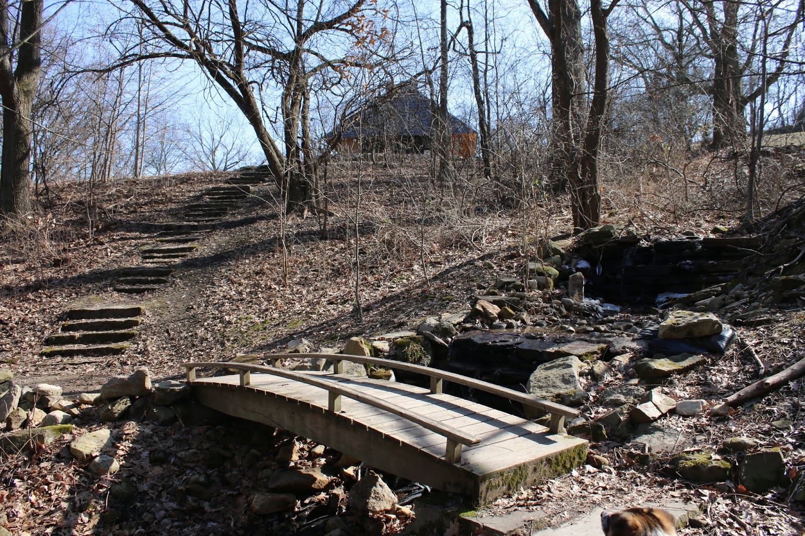 Pittsburgh's City Parks: Wonderful Urban Nature Sanctuaries ...