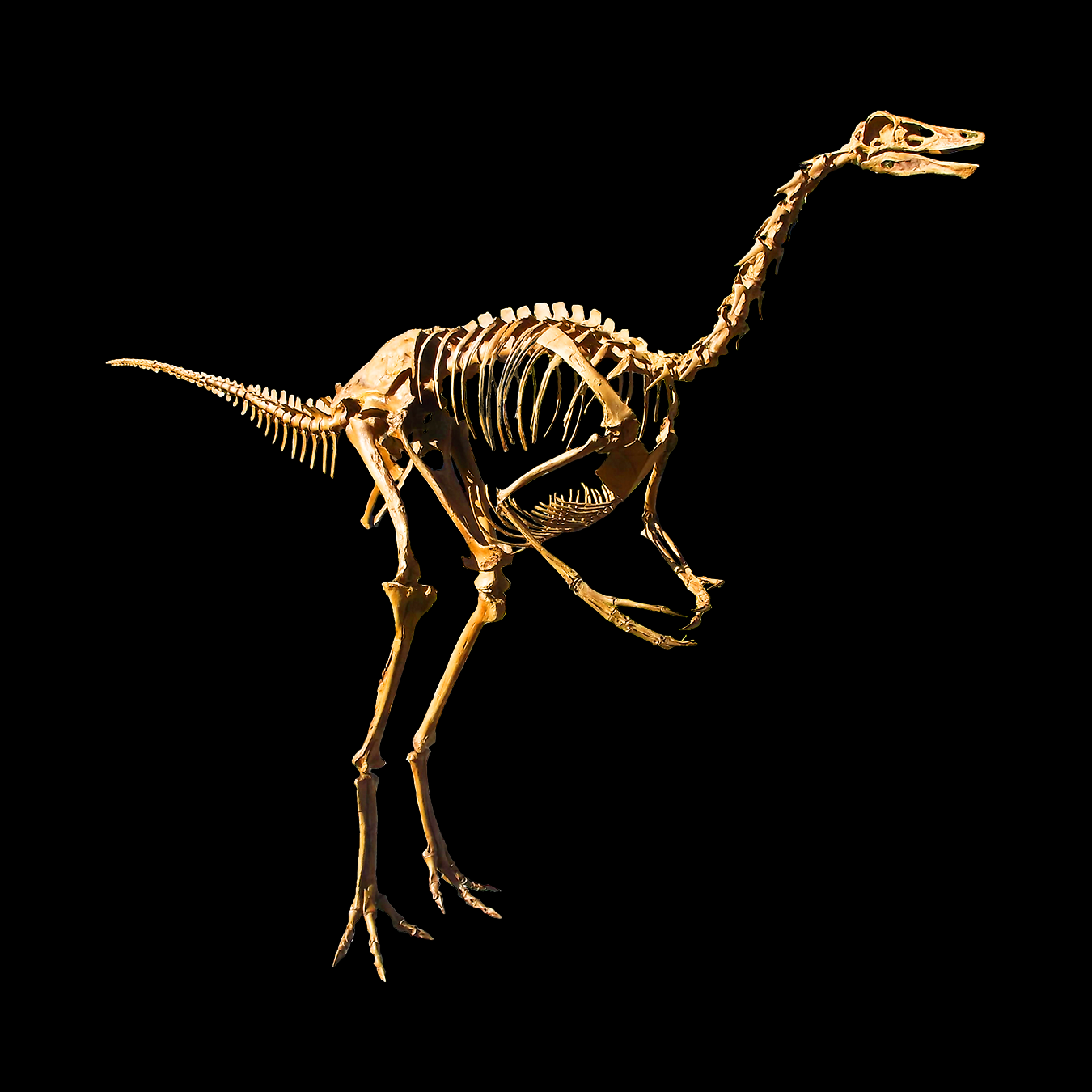 The Expeditioner's Discovery Guild: A little bit of Everything: Museums ...