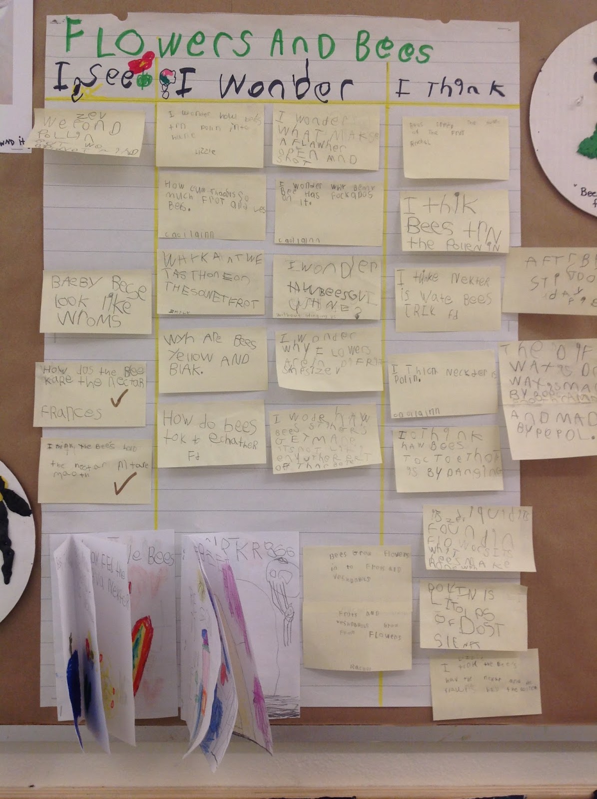Wonders in Kindergarten: A honeybee inquiry: The importance of noticing ...