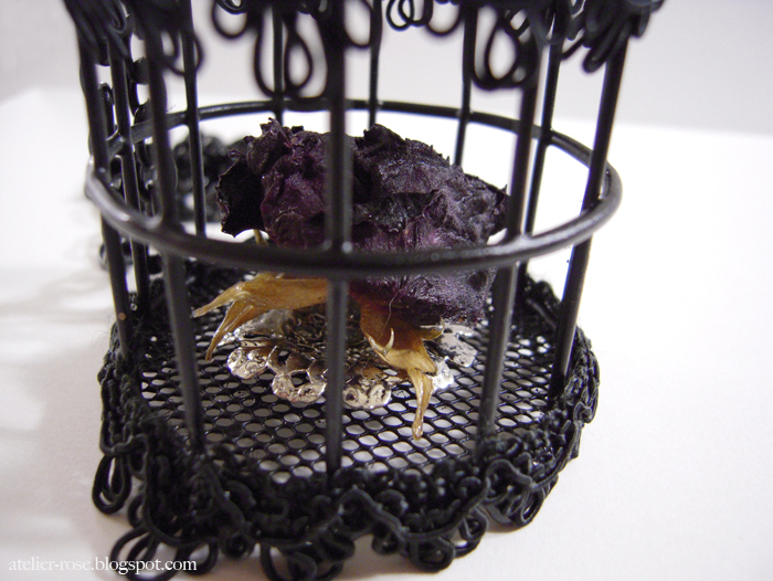 Atelier Rose: Suppurate System Haul + Review