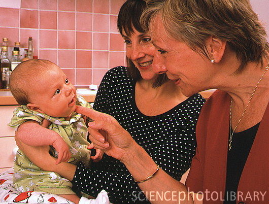 Mining Aśvaghoṣa's Gold: SAUNDARANANDA 10.35: Women in Heaven, As on Earth