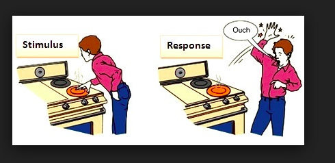 Kennedy Clan Science: Stimulus