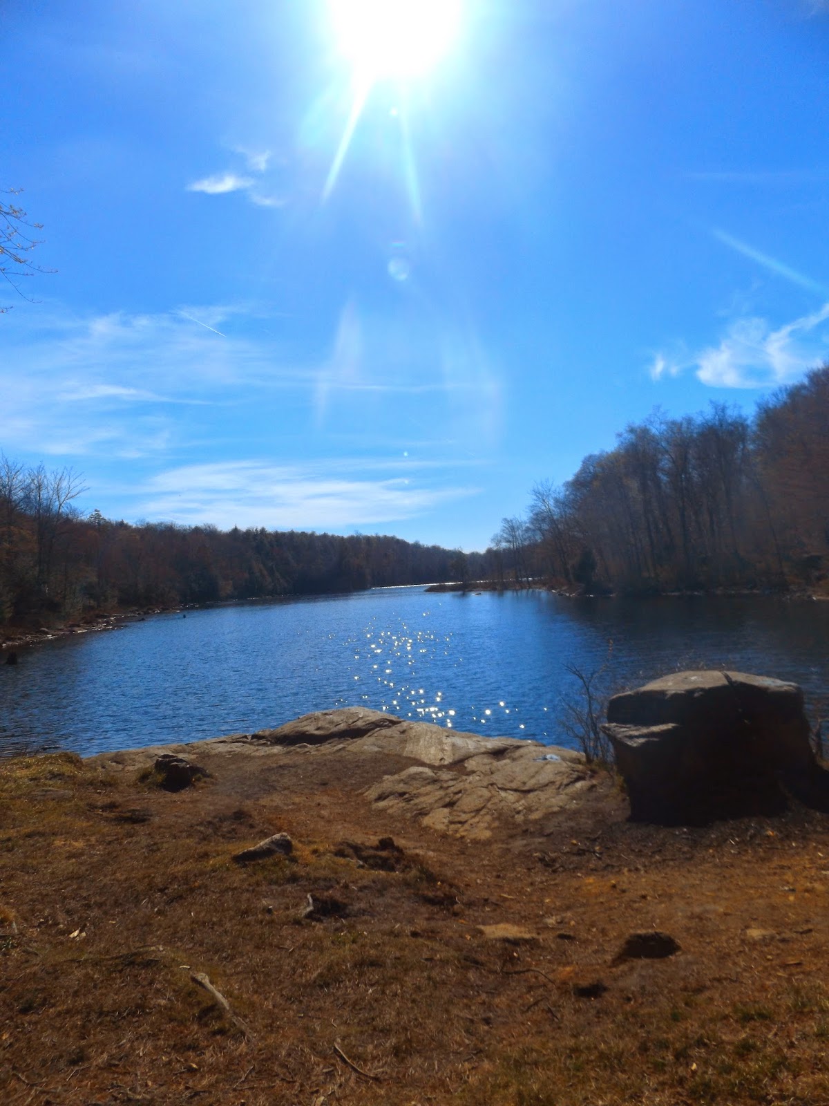Walking Man 24 7: Nine Corner Lake/ Jockeybush Lake(Adirondacks)