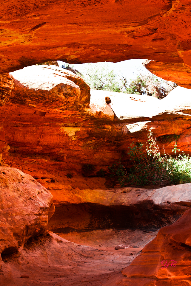 See What I See: YC 镜中的 Capital Reef and Arches NP