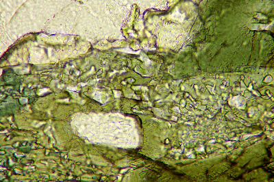 Metabasites: Epidote-rimmed albite and sieve-textured hornblende in ...