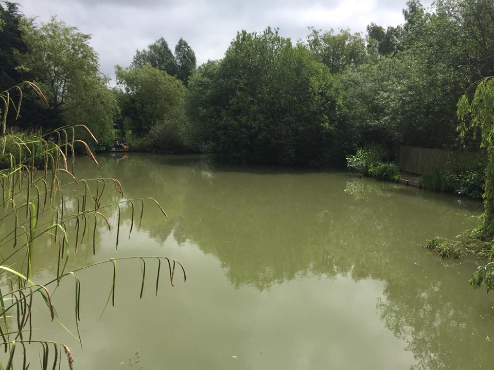 UK fishing venues: Raker Lakes (Heron Lake) - Venue Review
