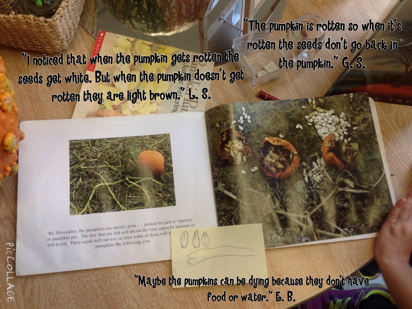 Wonders in Kindergarten: Teaching literacy holistically in our classroom