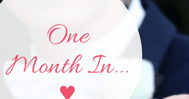 Every Language I Like: One month in