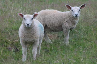 Martin Brookes Oakham: Egleton Village Rutland Photographs