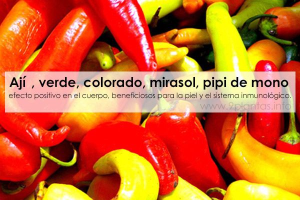 Ajicito Amazónico : Aji pipi de mono