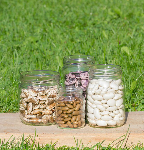 Flatulence Gas Food Facts