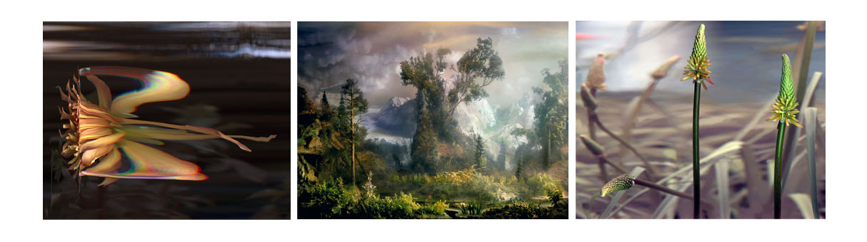 Photo Gallerino: IN THE WATER I AM BEAUTIFUL • Kim Keever & Bruce ...